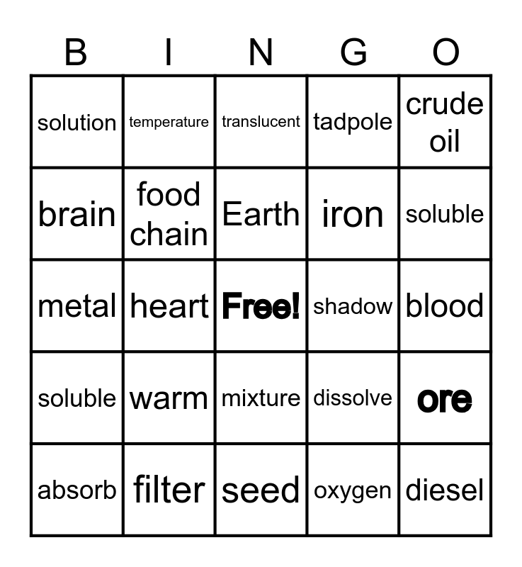 P3 SCIENCE VOCABULARY BINGO Card