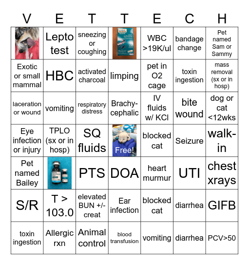 Vet Tech Week Bingo! Bingo Card