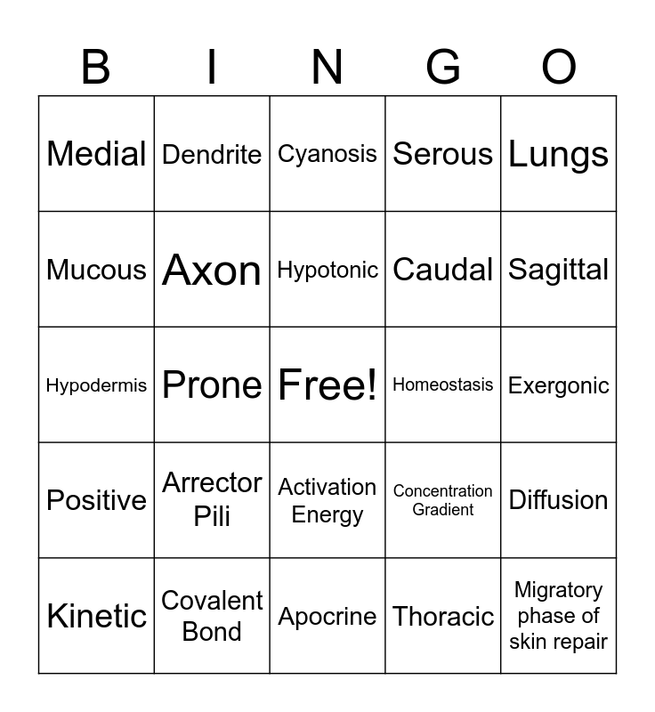Anatomy and Physiology 1-5 Bingo Card