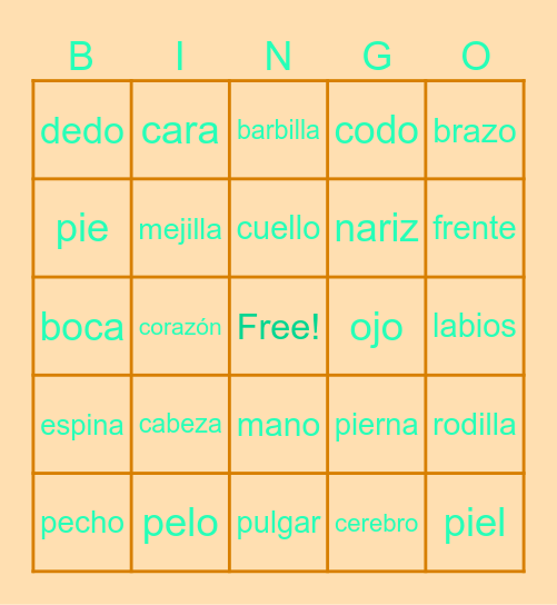 Body Parts in Spanish Bingo Card