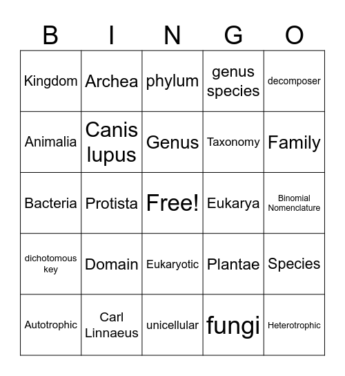 Classification Bingo Card