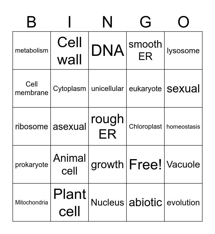 Cells and Functions Bingo Card