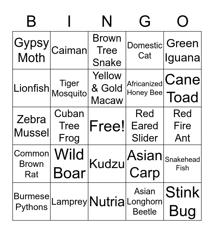 Invasive Species Bingo Card