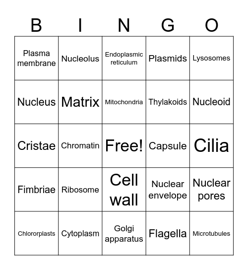 Protein Production Bingo Card