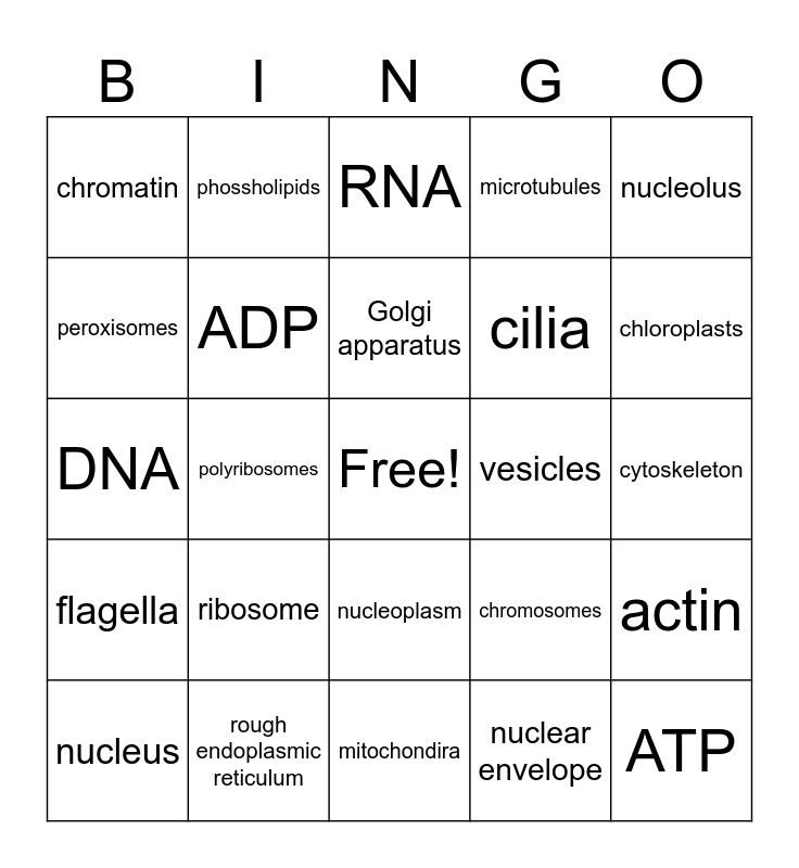 Protein Bingo Card