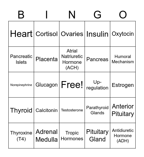 Endocrine System Bingo Card