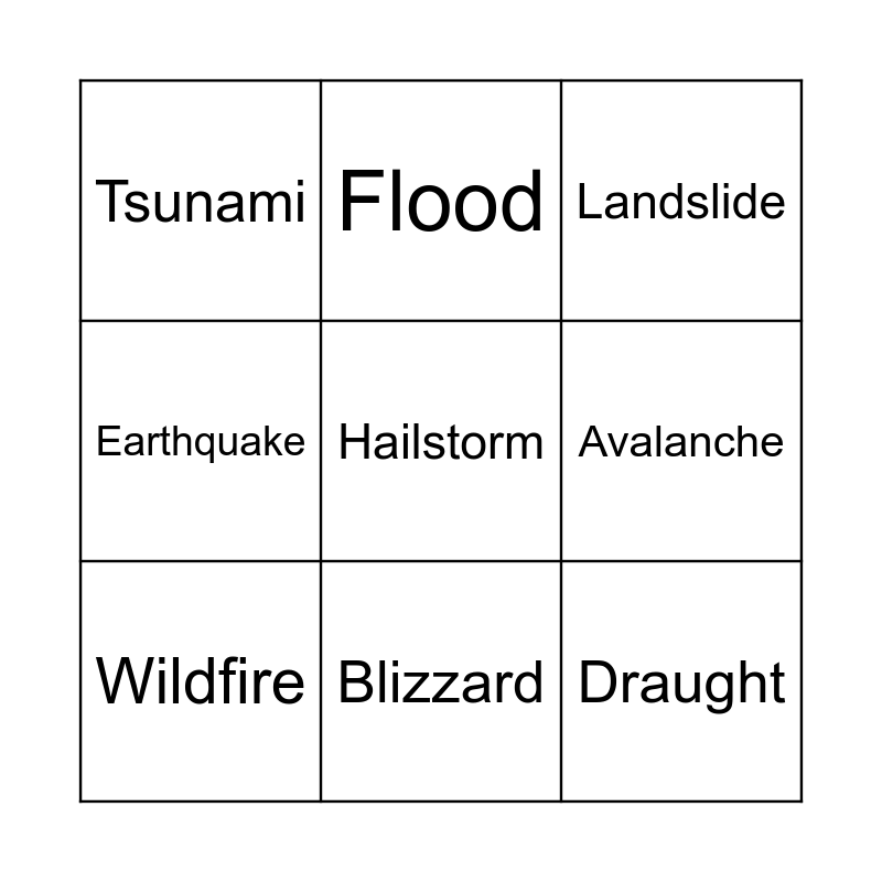 Natural Disasters Bingo Card