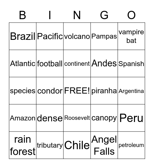 South America Bingo Card