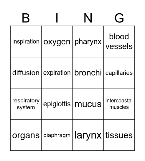 Respiratory System Bingo Card