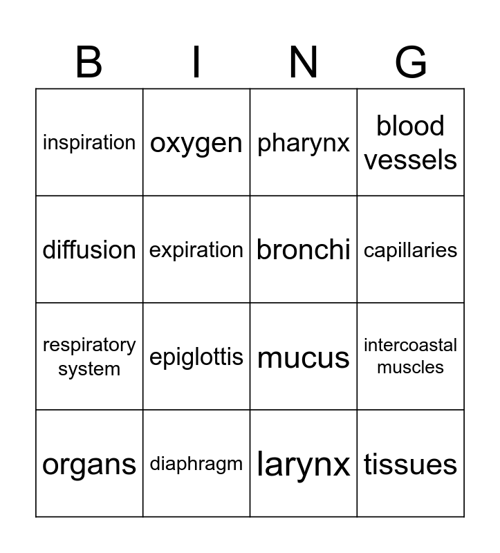 Respiratory System Bingo Card
