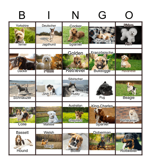 Dogs Bingo Card