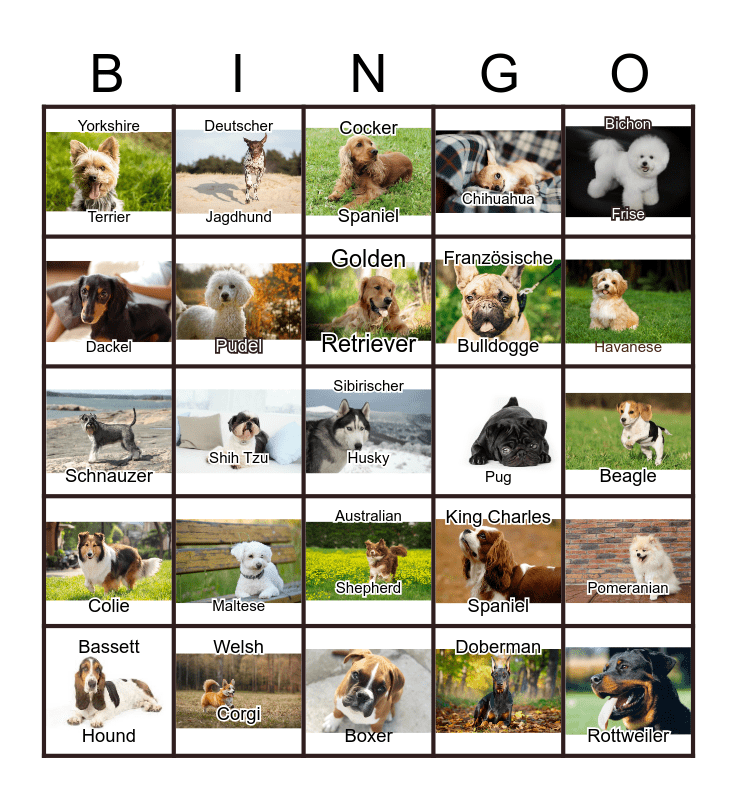 Dogs Bingo Card