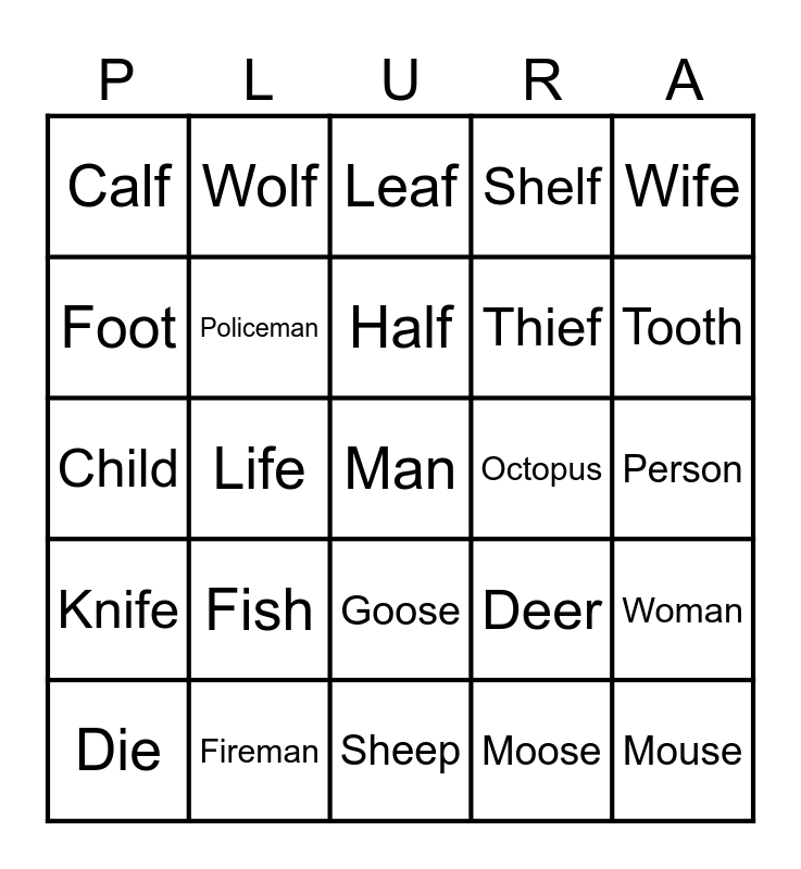 Irregular Plurals Bingo Card