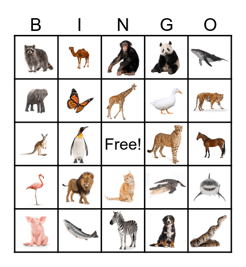 Animal Bingo Card