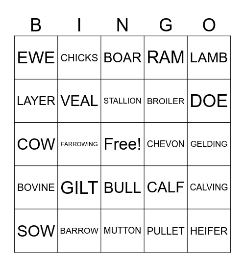 LIVESTOCK TERMS Bingo Card
