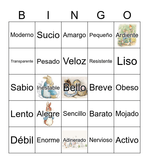 SINONIMO Y ANTONIMOS Bingo Card