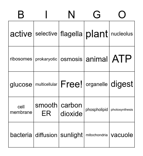 Cellular Structure & Processes Bingo Card