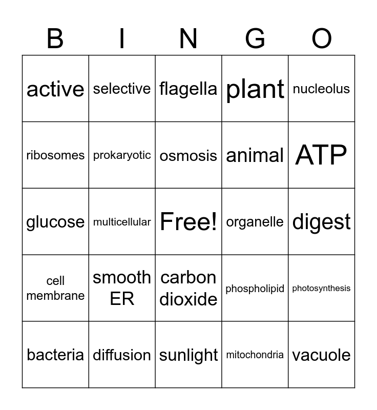 Cellular Structure & Processes Bingo Card