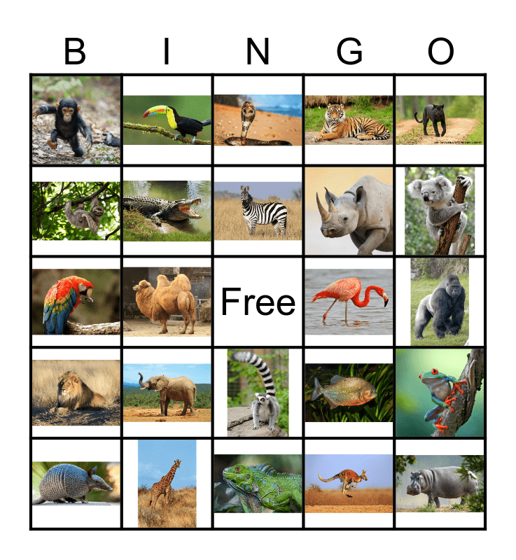 Jungle Bingo Card