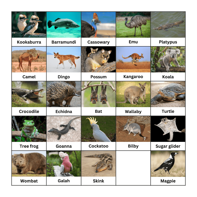 Australian Animals Bingo Card