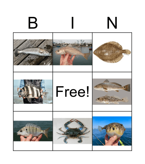 Salt Marsh Fish Bingo Card