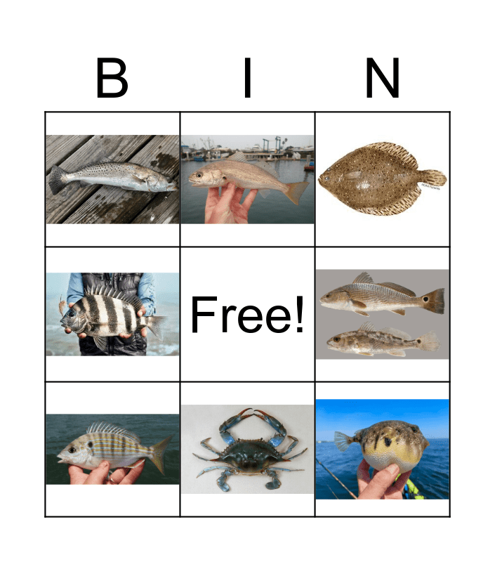 Salt Marsh Fish Bingo Card