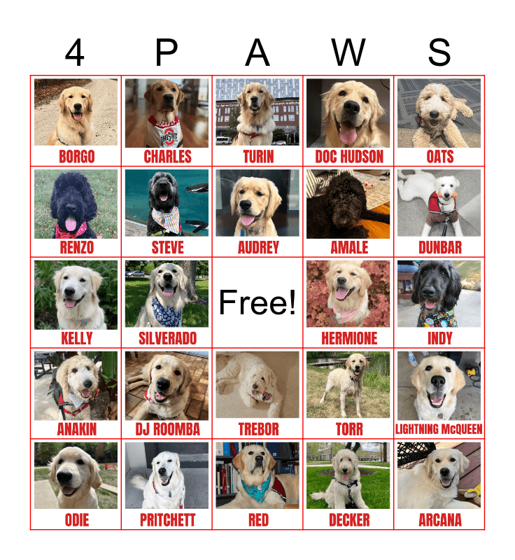 The Ohio State University Bingo Card