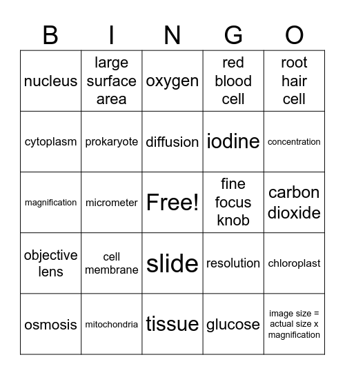 Biology B1 Bingo Card
