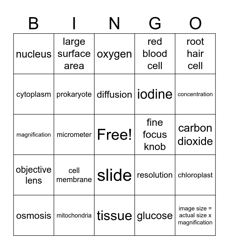 Biology B1 Bingo Card
