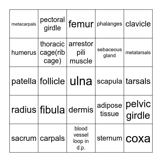 Bones/Skin Bingo Card