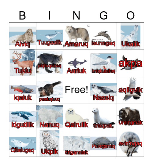 Inuktut Bingo - Arctic Animals Bingo Card