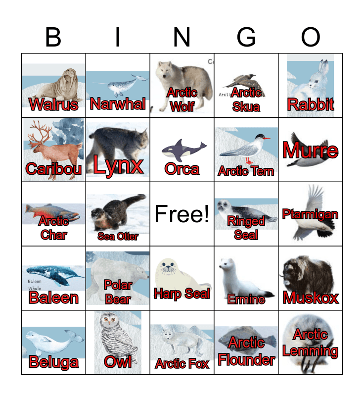 Inuktut Bingo - Arctic Animals (English Version) Bingo Card