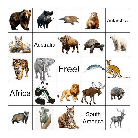 The Continents of the WORLD! Bingo Card