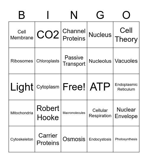 Cell Function and Structure Bingo Card