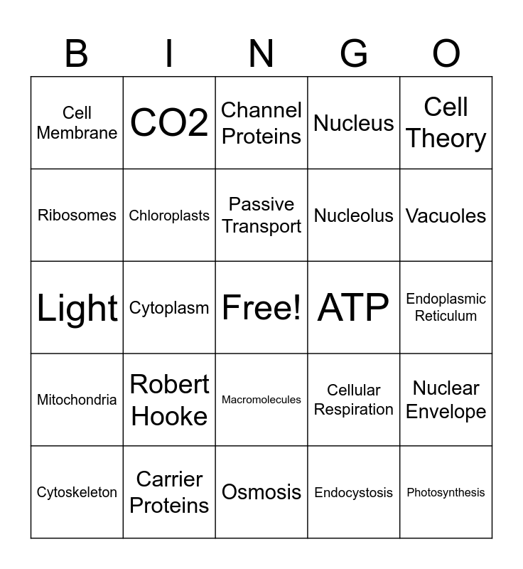Cell Function and Structure Bingo Card