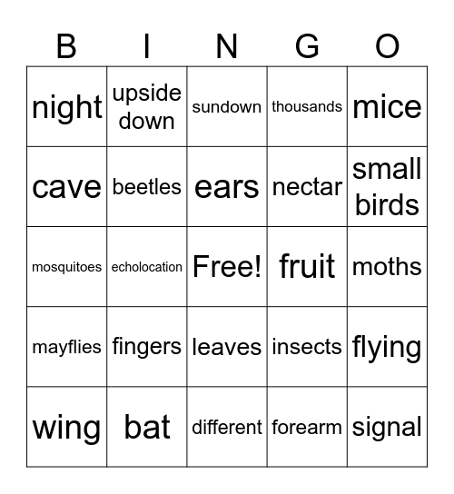 Bat Bingo Card