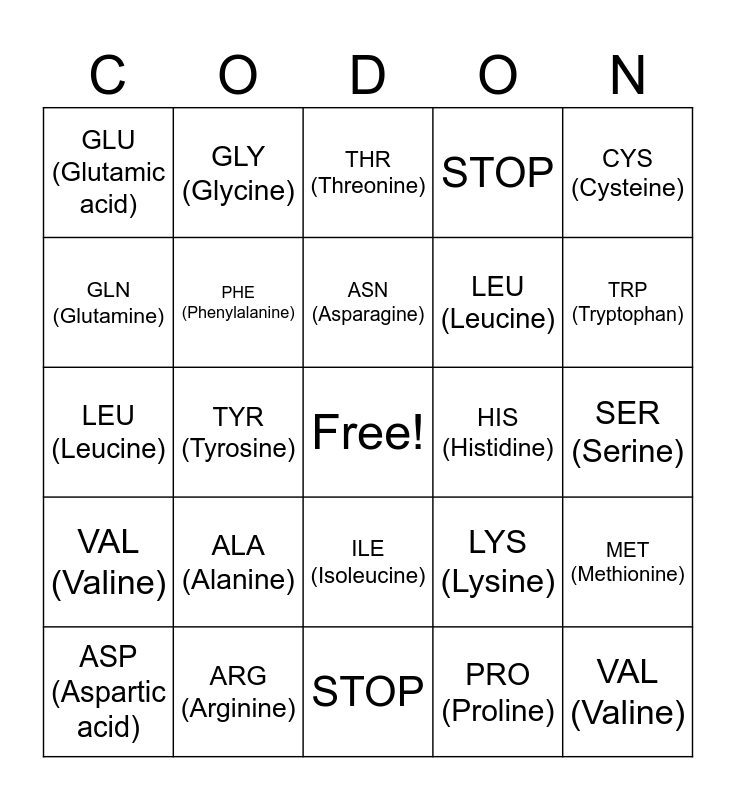 Codon Bingo! Bingo Card