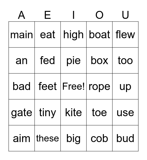 Long or Short Vowel? Bingo Card
