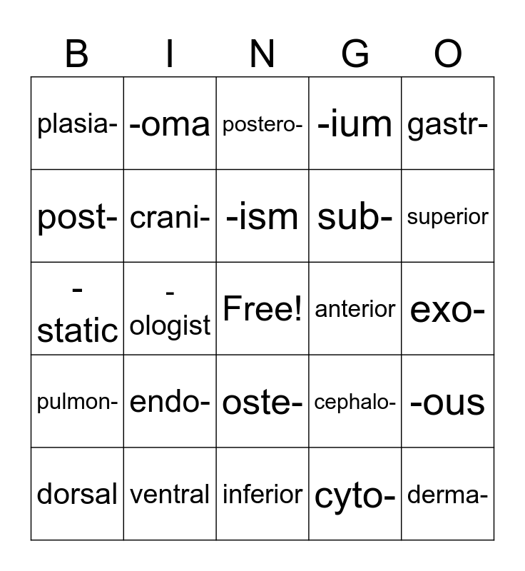 Prefixes, Suffixes and Medical Terms Bingo! Bingo Card