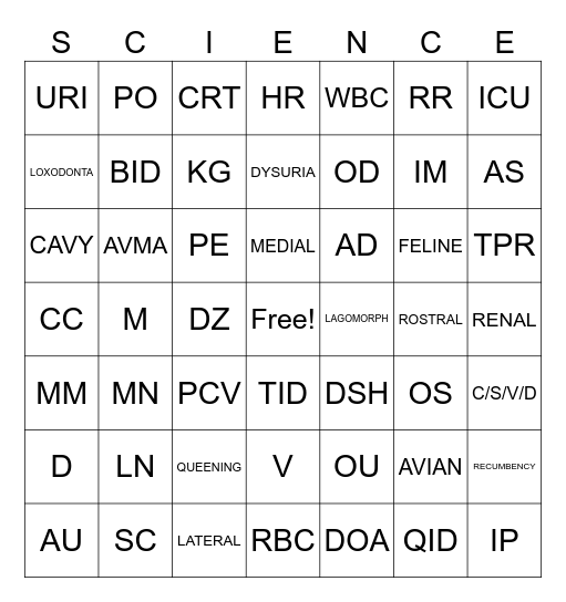 VETERINARY Bingo Card