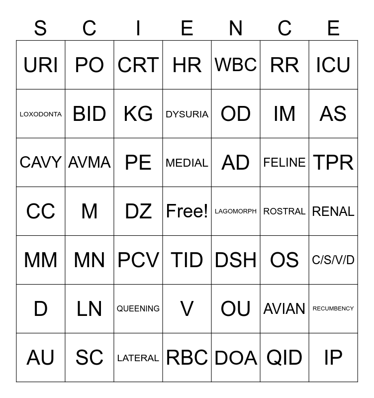 VETERINARY Bingo Card