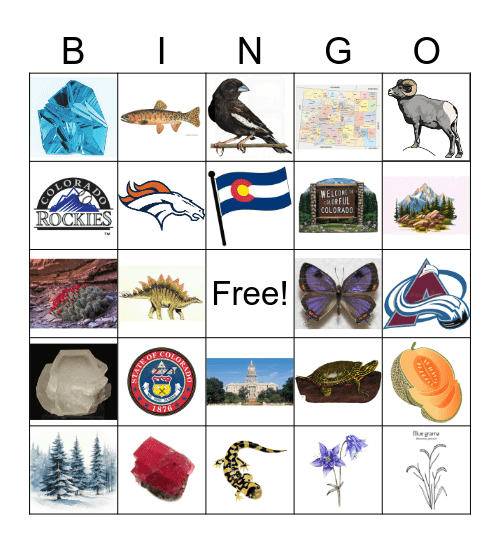 Colorado Symbols Bingo Card