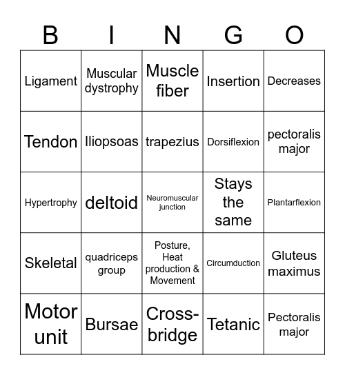Muscular System Bingo Card