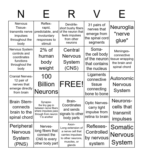 Nervous System Bingo Card