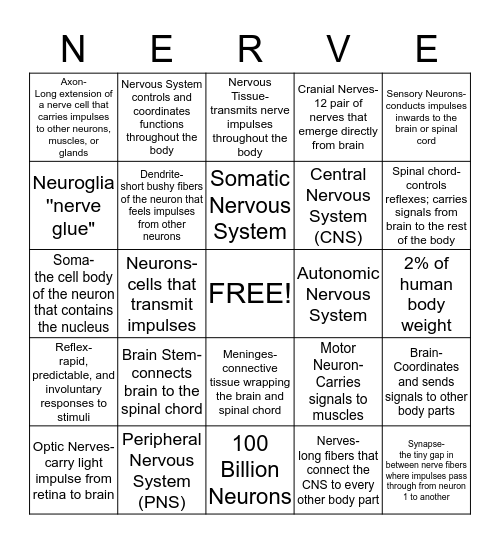 Nervous System Bingo Card