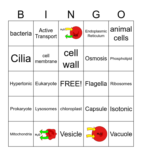 Cells Bingo Card