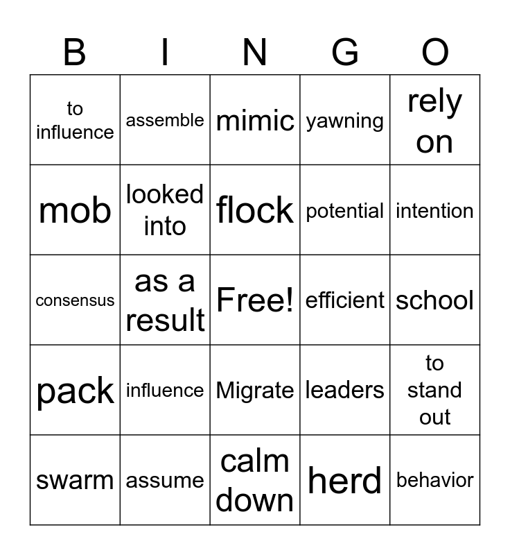 Unit 3 Vocabulary Bingo Card