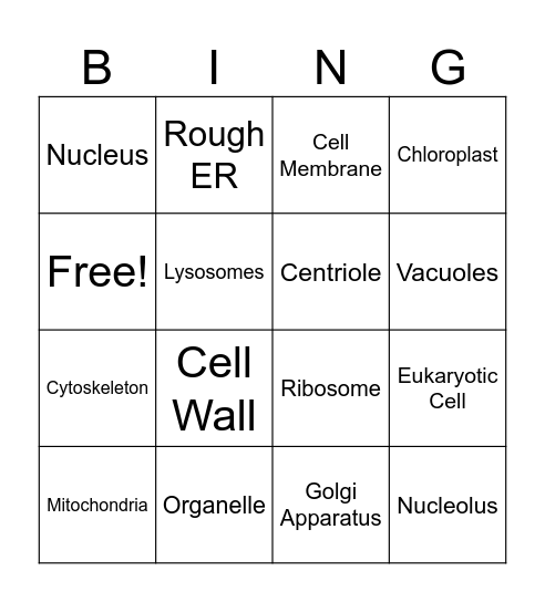 Cell Organelle Bingo Card