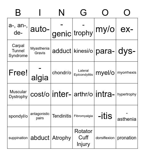 Musculoskeletal System & Common Word Parts Bingo Card