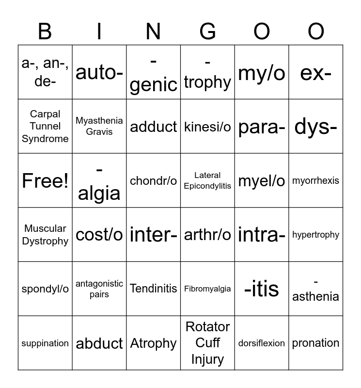 Musculoskeletal System & Common Word Parts Bingo Card